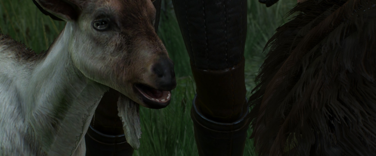 5 Strange Things to Love About The Witcher 3 | Shacknews