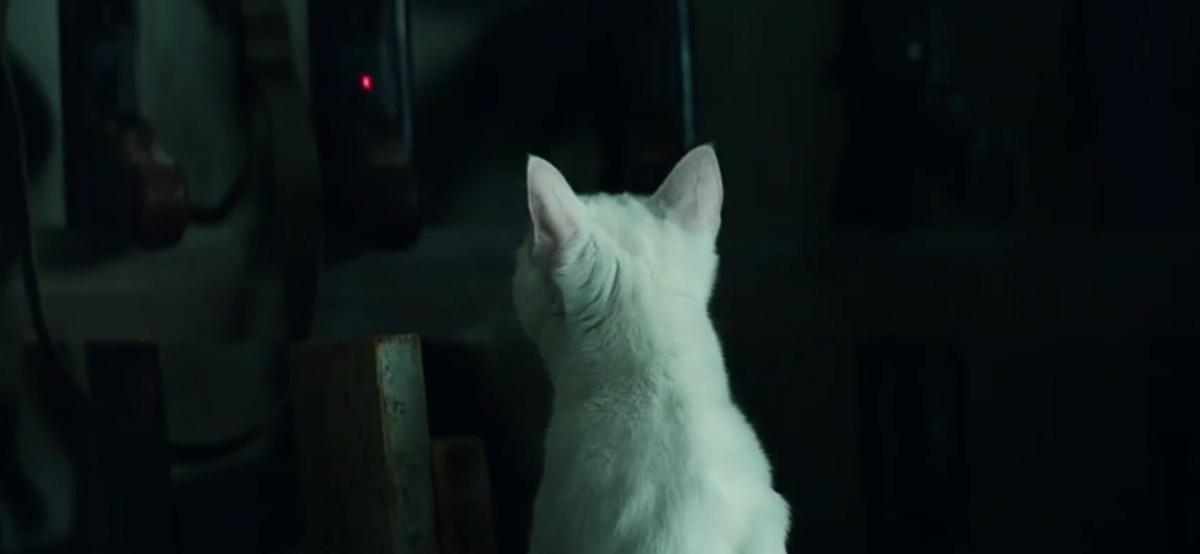 Ghost Recon Wildlands live action trailer is a cat-sniper story | Shacknews