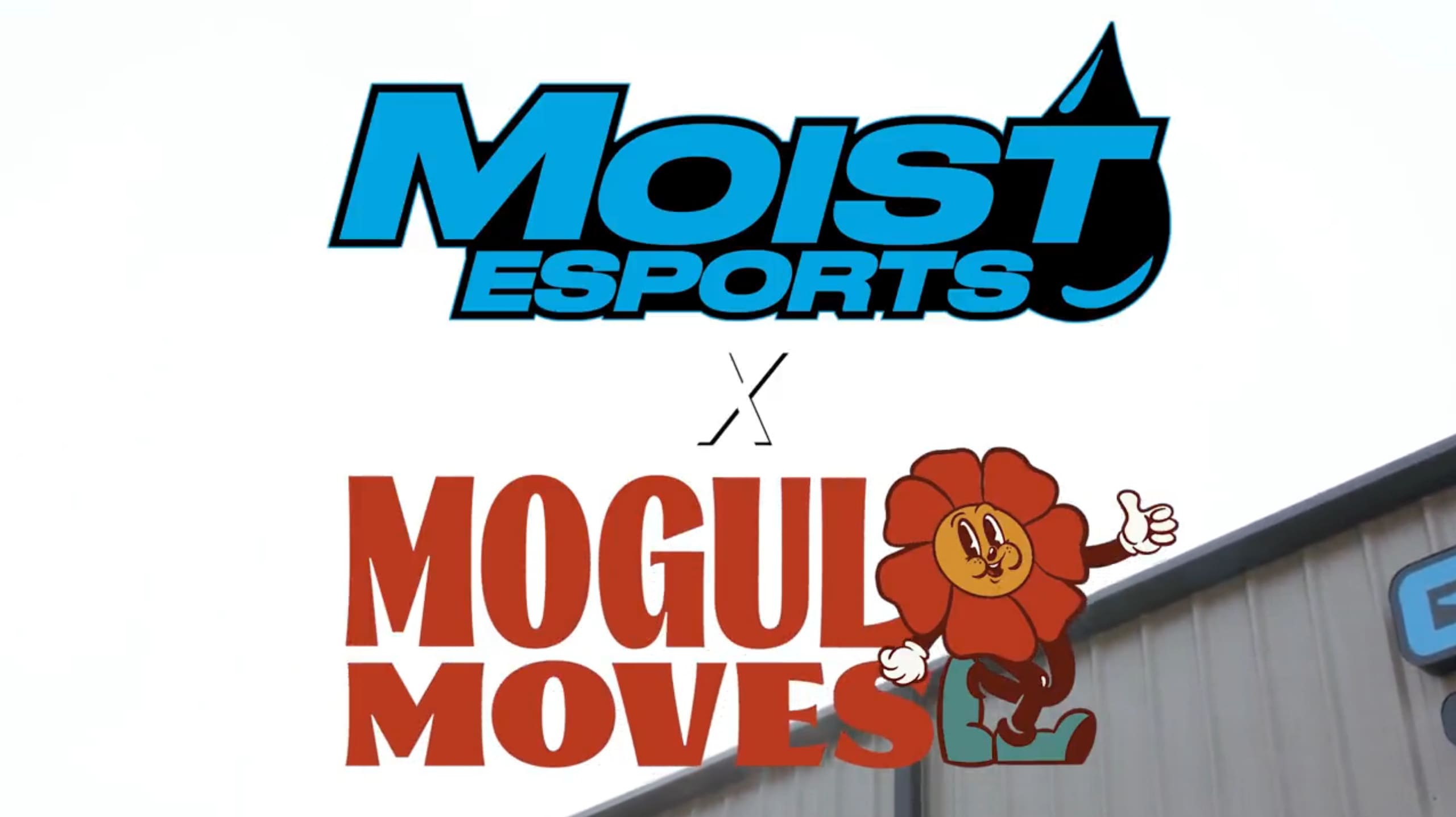 Ludwig becomes a co-owner of Moist Esports | Shacknews