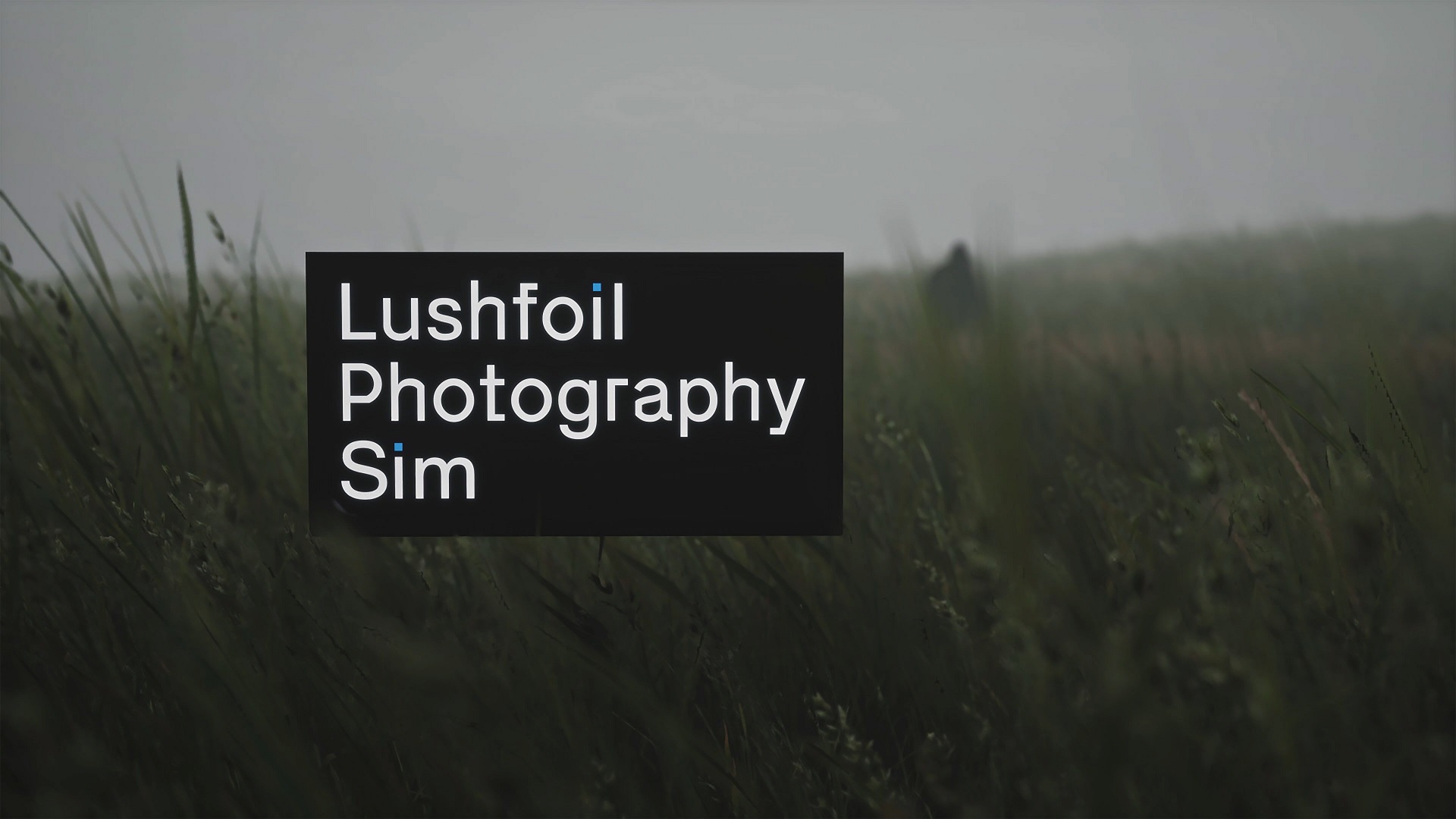 Lushfoil Photography Sim has you explore nature to snap the most beautiful photos | Shacknews