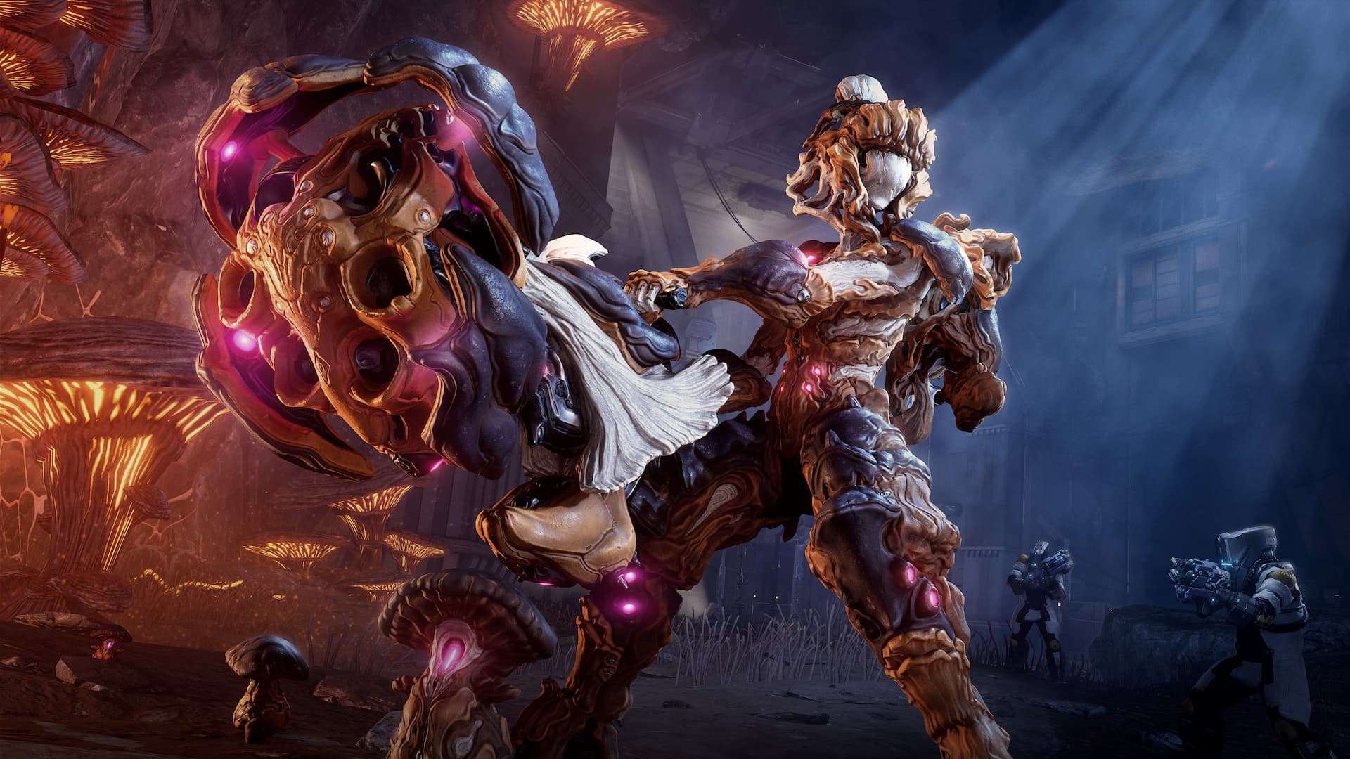 What is the release date of Nokko in Warframe? | Shacknews