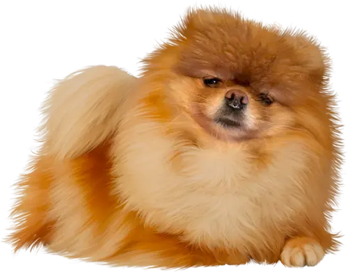 How to Get Very Comfortable Pillows in ARC Raiders | Shacknews